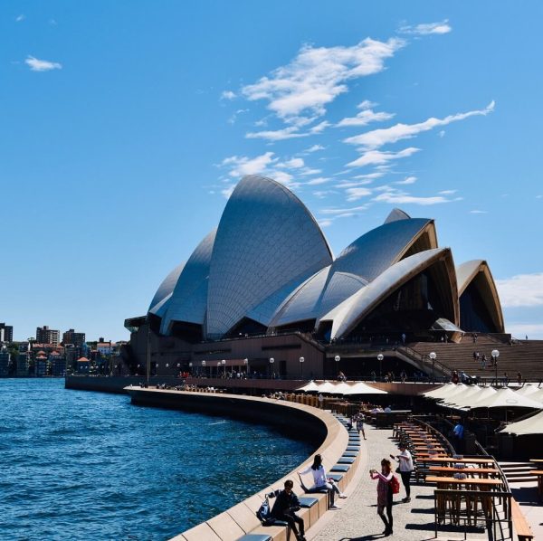 Stray Australia Bus Passes