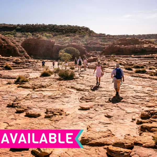 What To Do In Alice Springs