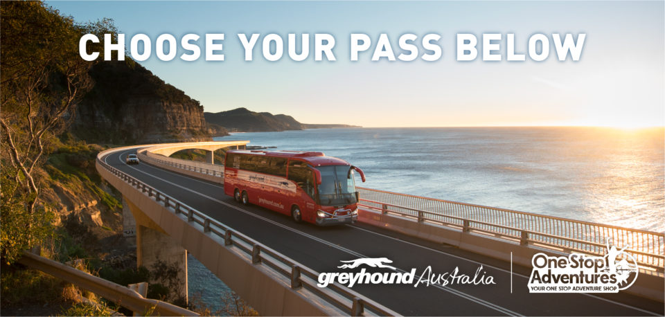 Australia Bus Passes