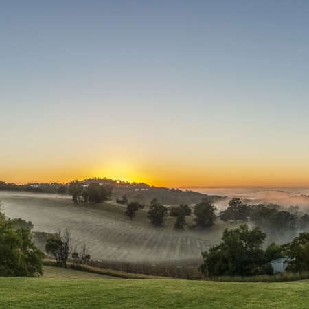 Hunter Valley Chocolate, Wine & Vodka Tour $225