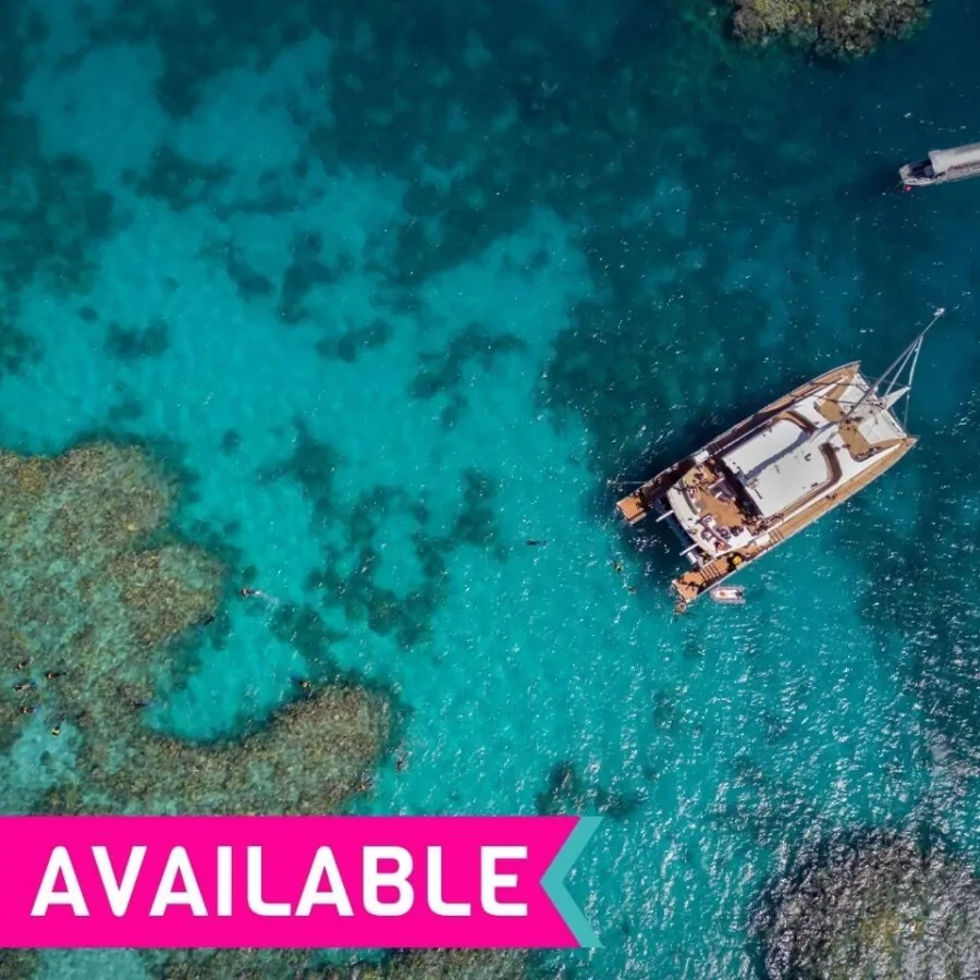 1 Day Great Barrier Reef Tour with Passions of Paradise $260