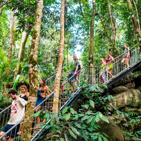 1 Day Atherton Tableland Tour $149